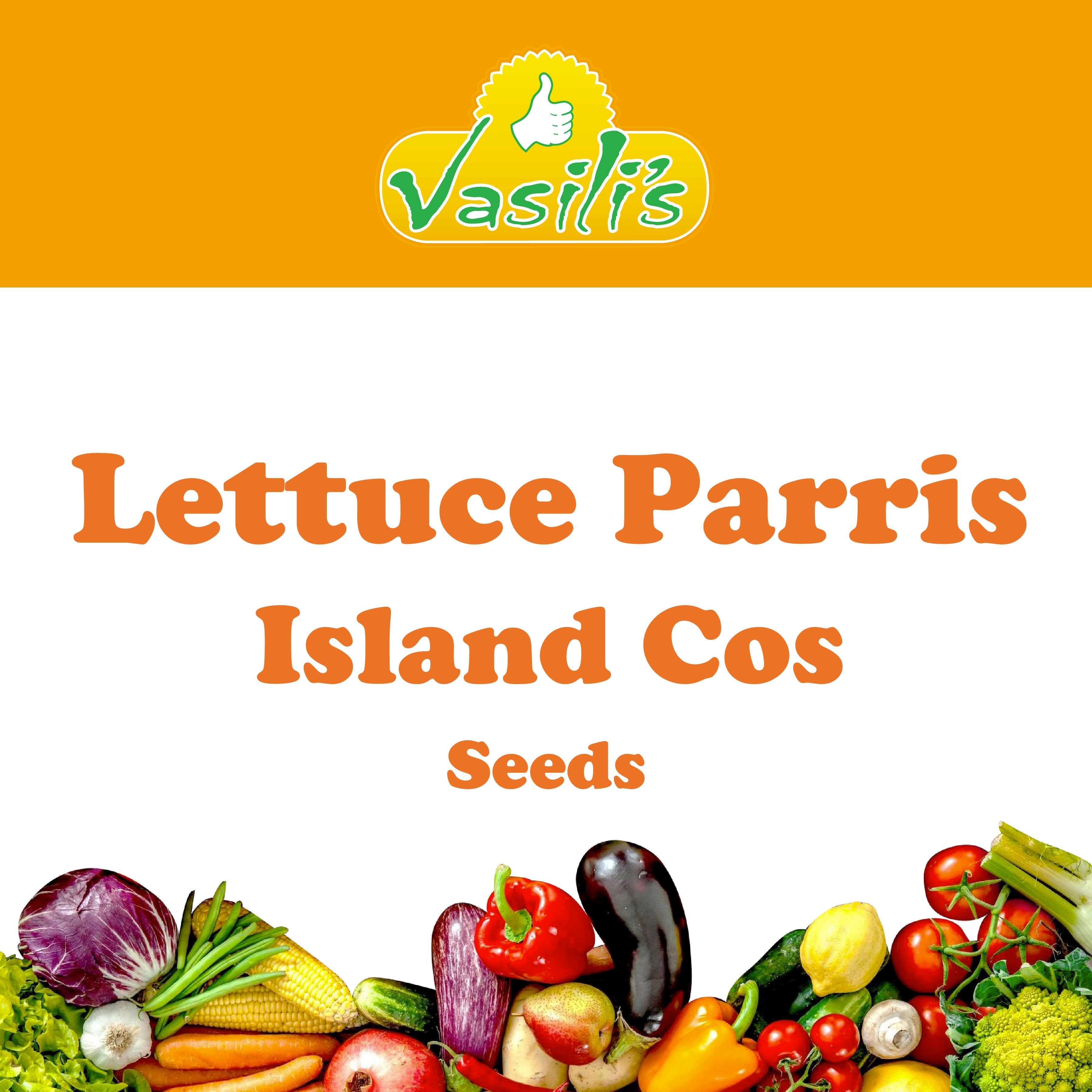 Lettuce Parris Island Cos Seeds – Vasili's Garden