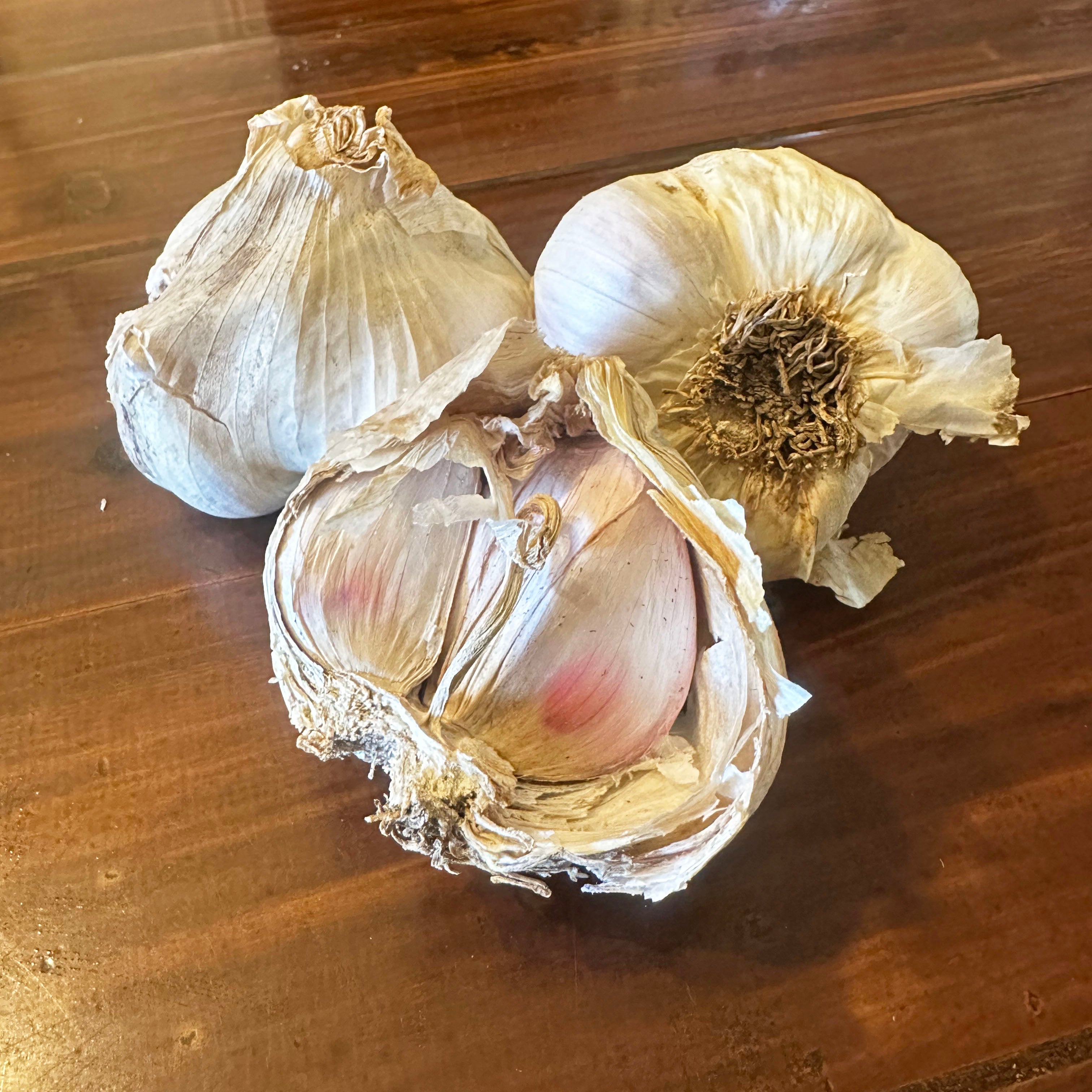 Organic Garlic – Vasili's Garden