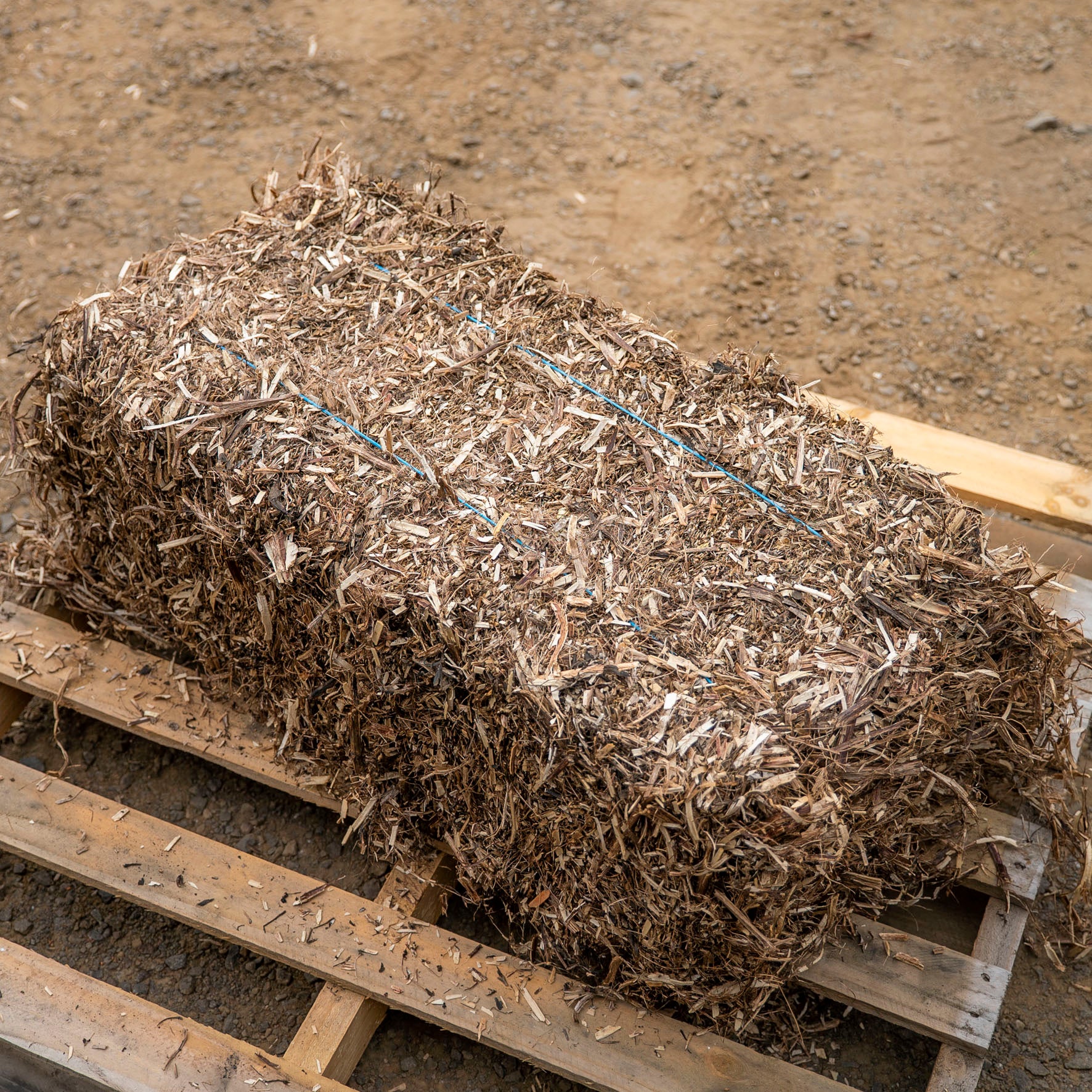 All Products – Vasili's Garden