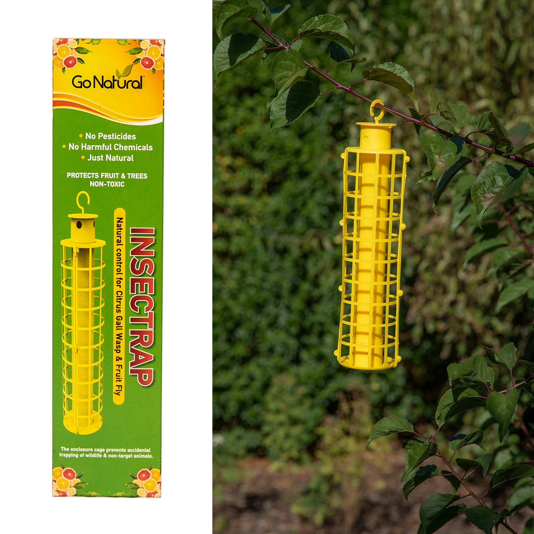 Barriers - Protection – Vasili's Garden