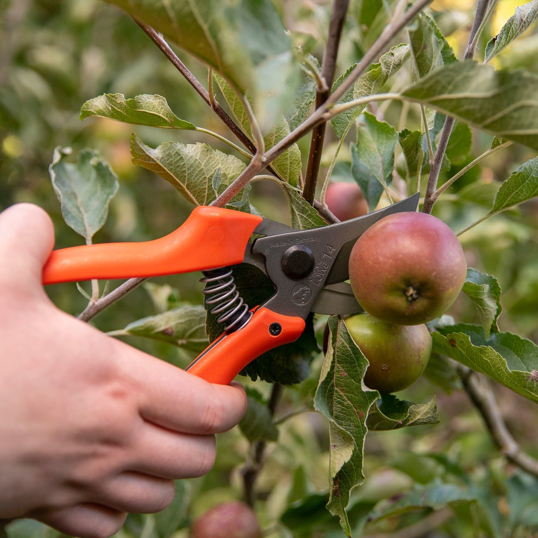LOWE No14 Compact Bypass Pruner – Vasili's Garden