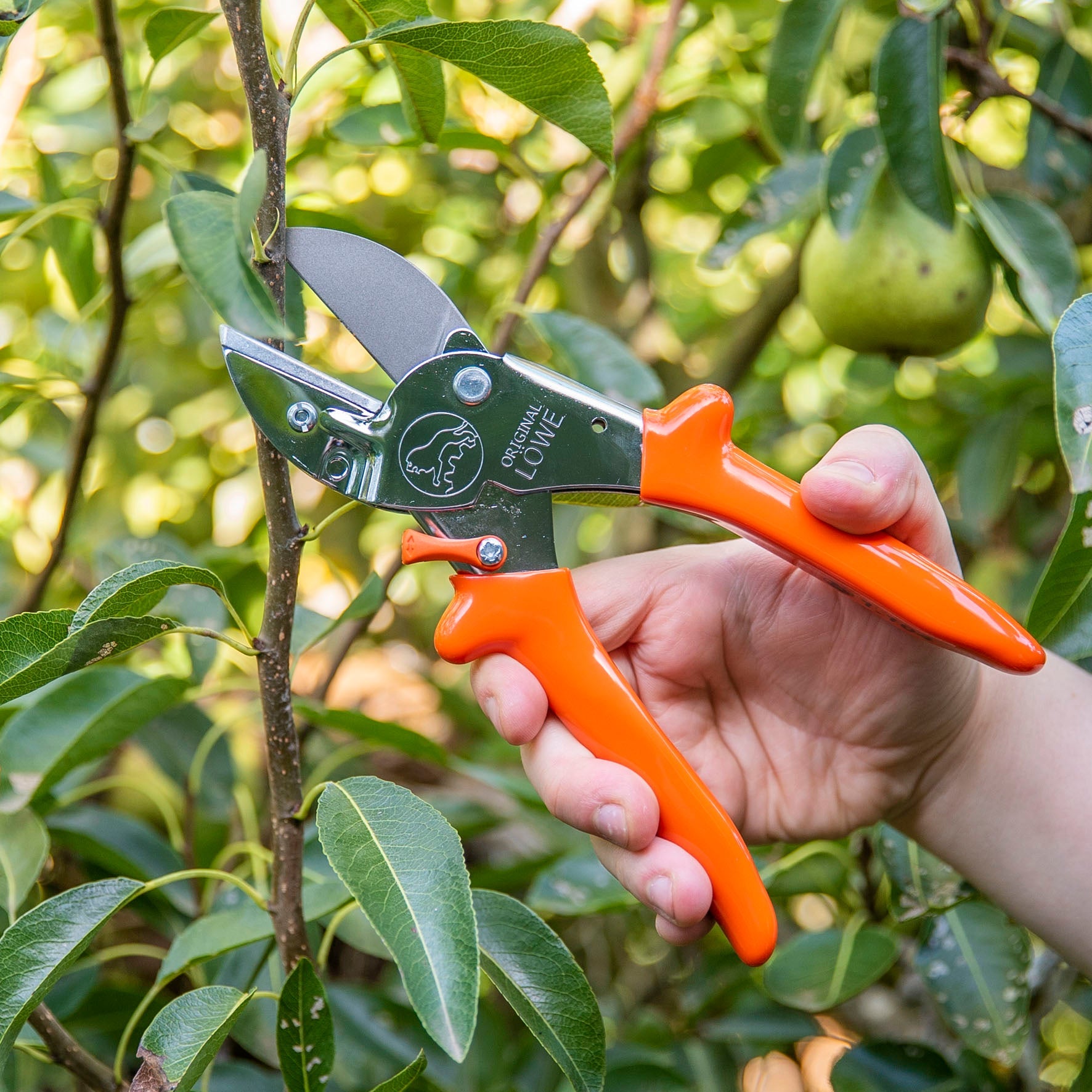 LOWE No1 Anvil Pruner – Vasili's Garden