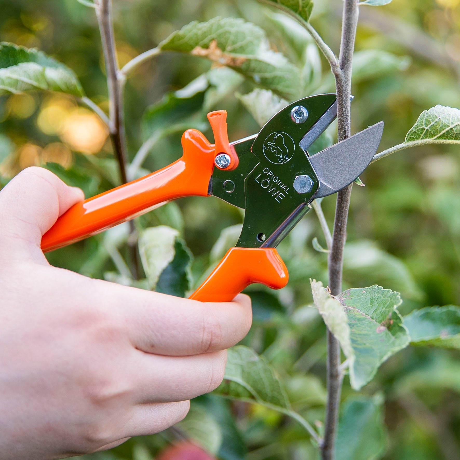LOWE No5 Small Anvil Pruner – Vasili's Garden