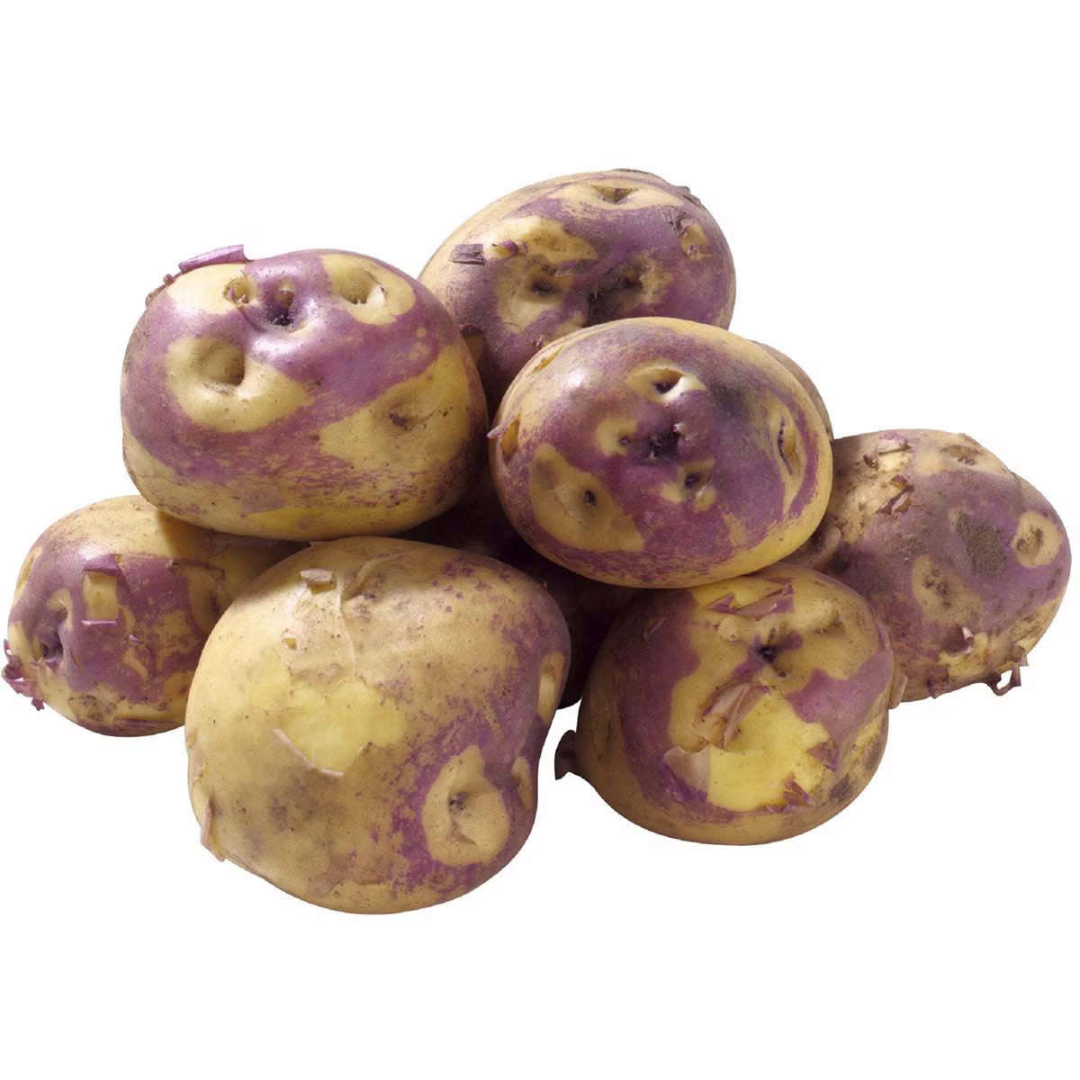 All Products – Vasili's Garden