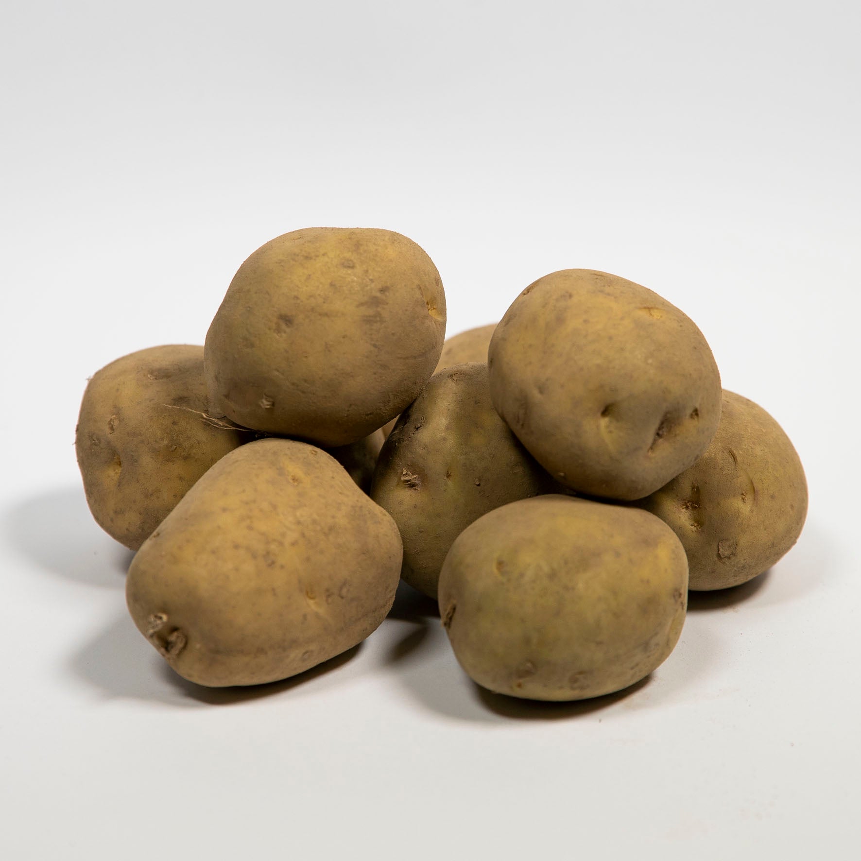 Potato Sebago - New Season's Potatoes – Vasili's Garden