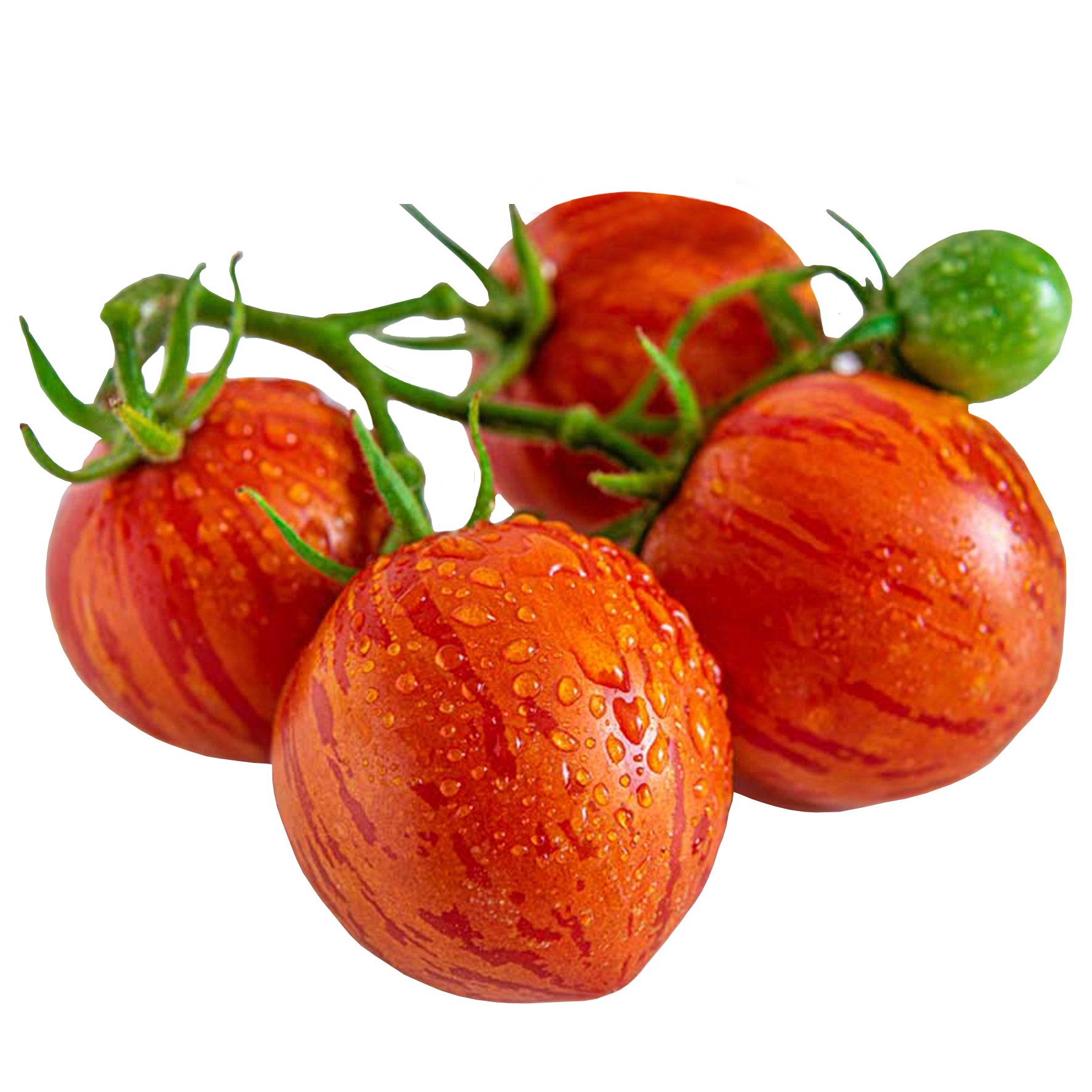Tomato Tigerella Seeds – Vasili's Garden