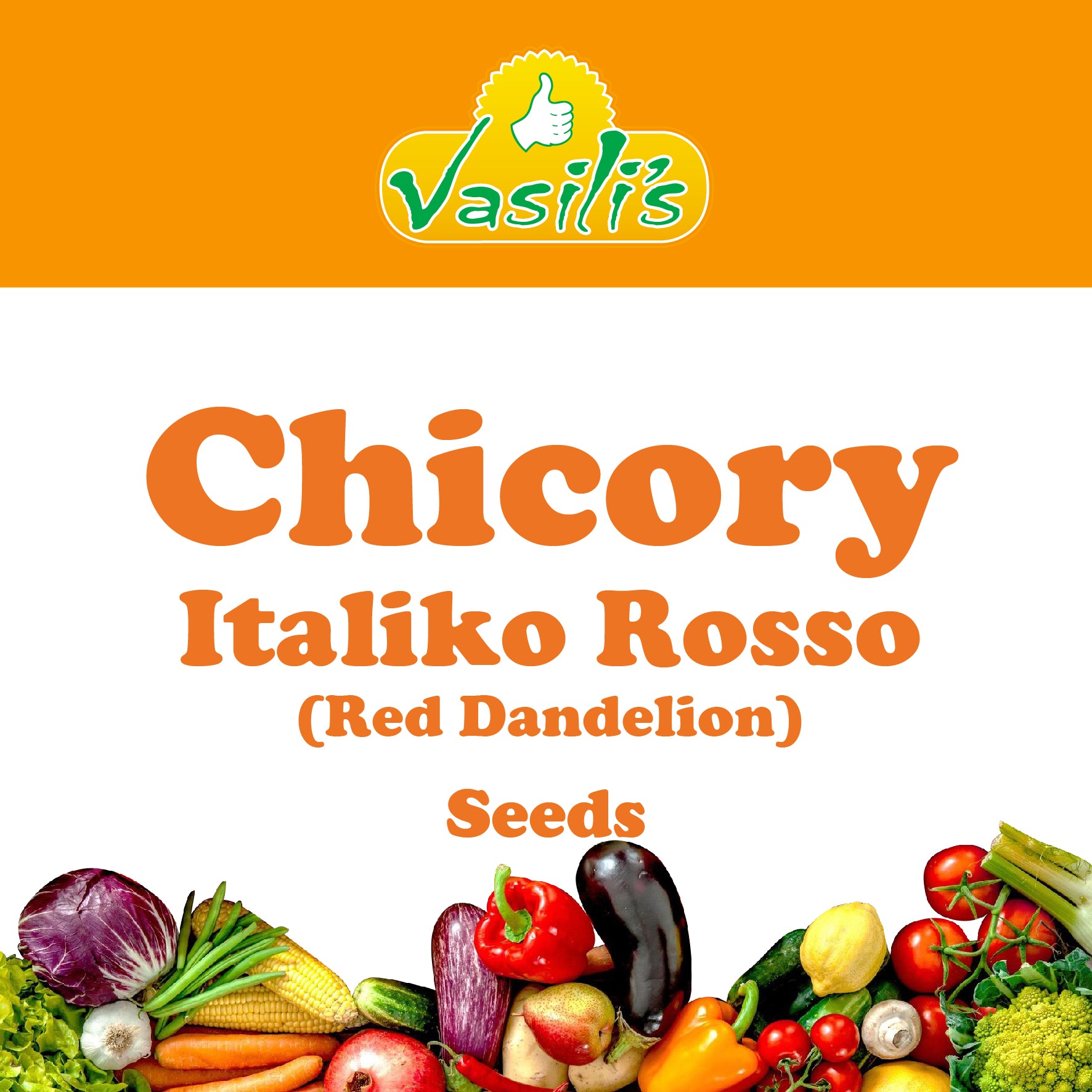 Chicory Italiko Rosso (Red Dandelion) Seeds – Vasili's Garden