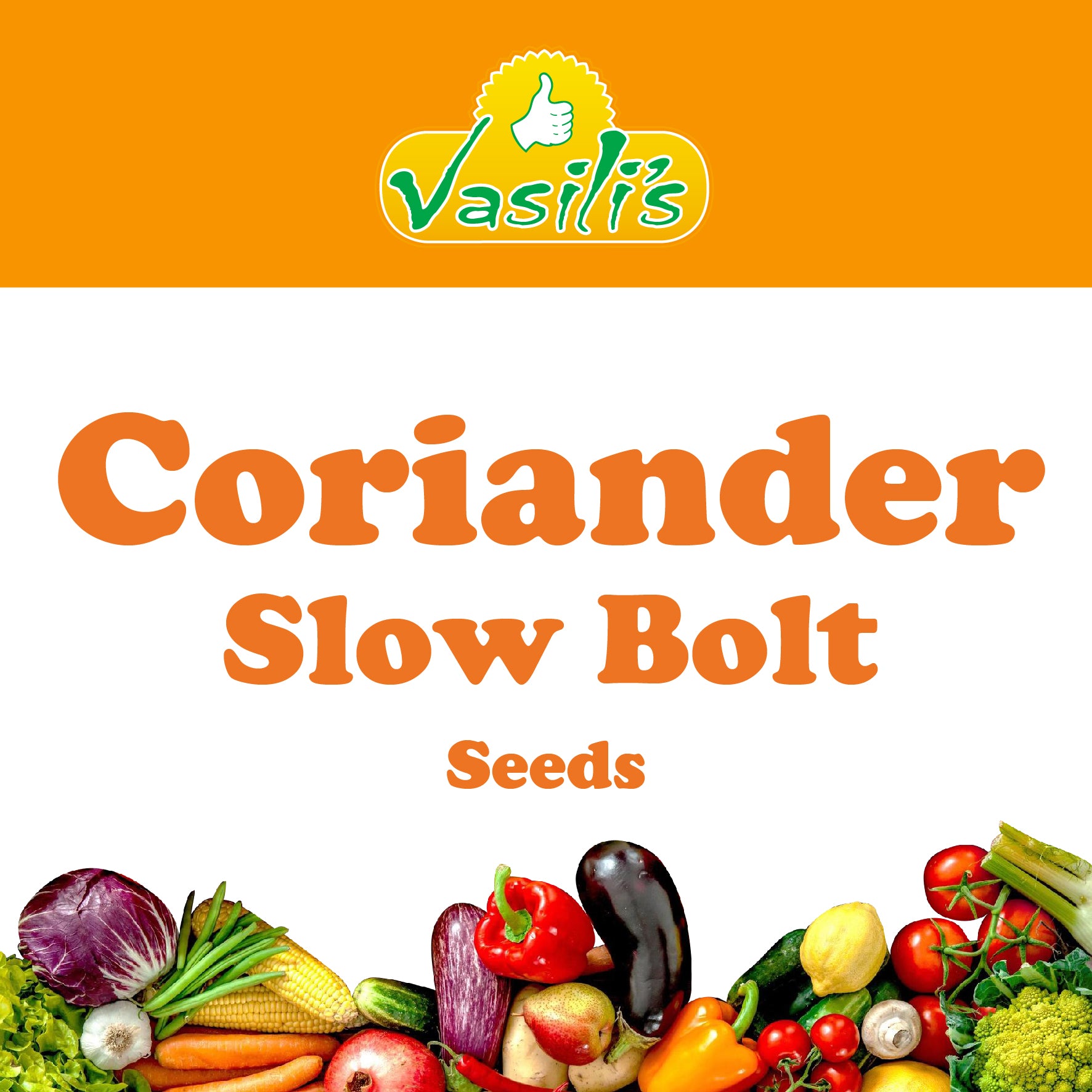 Coriander Slow Bolt Seeds – Vasili's Garden