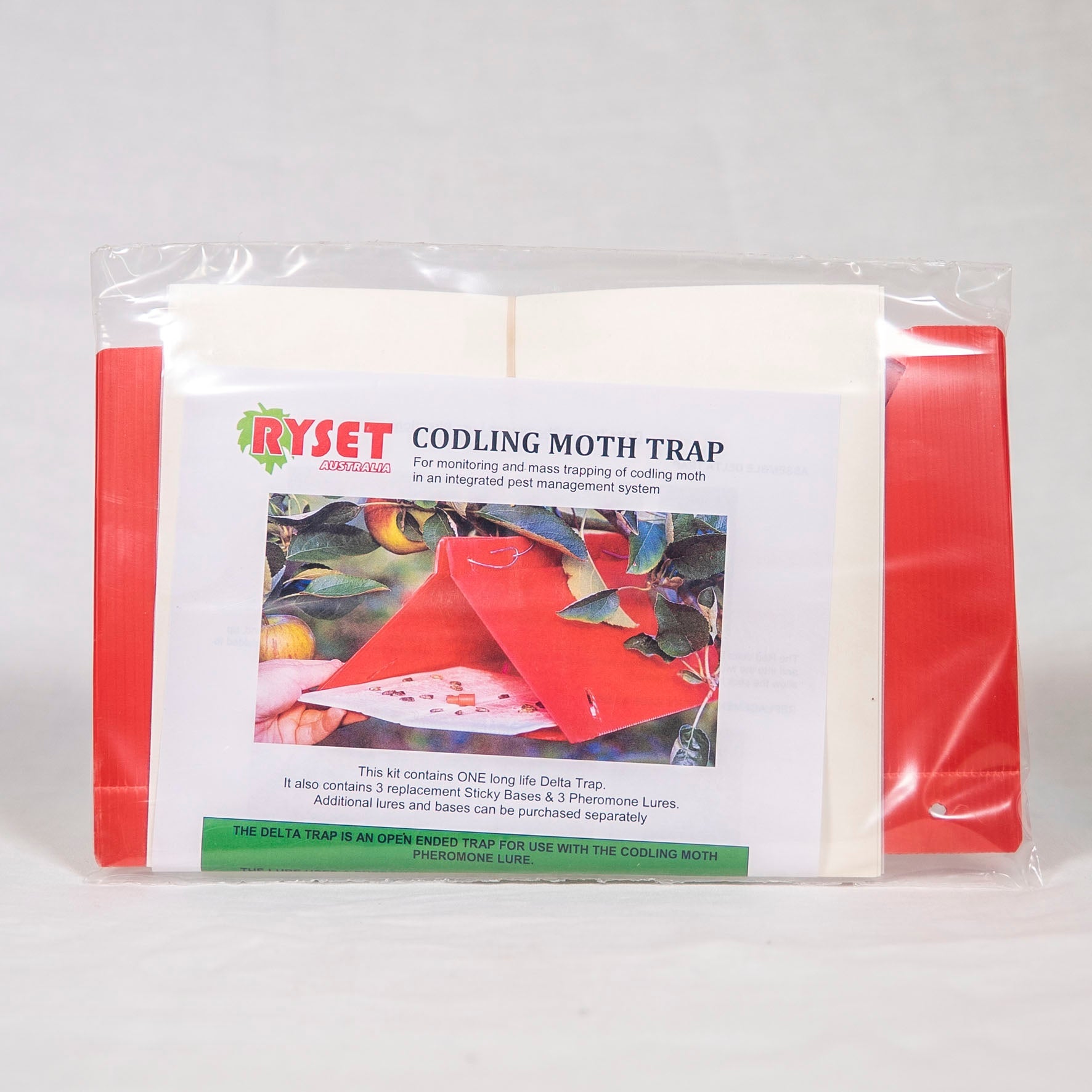 Codling Moth Trap – Vasili's Garden